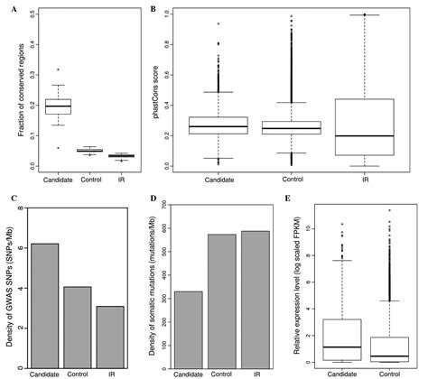 Functional Annotation Of Noncoding Variants And Prioritization Of