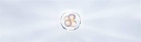 Lancaster Prestige Brands Coty