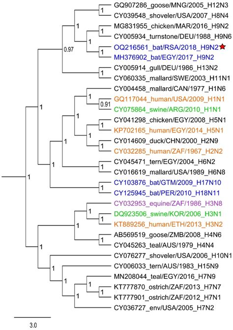 Bayesian Phylogenetic Analysis Of The Ha Segment Of The Download Scientific Diagram