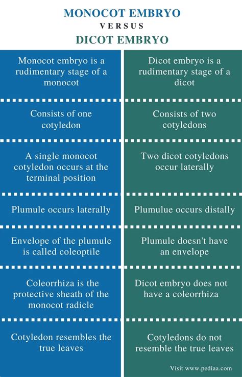 Difference Between Monocot And Dicot Embryo Pediaa Com