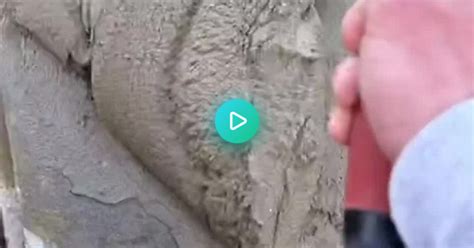 smooth operator album on imgur