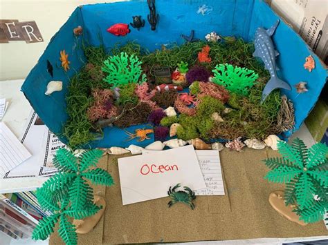 Ocean Ecosystem For 3rd Graders