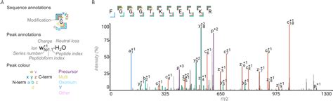 A Universal Spectrum Annotator For Complex Peptidoforms In Mass