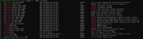 Unable To Use Deepstream Test1 App On Ngc 60 Devel Container