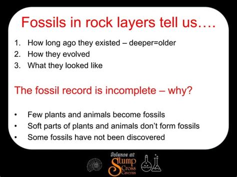 Fossils Workshop Slides PPT