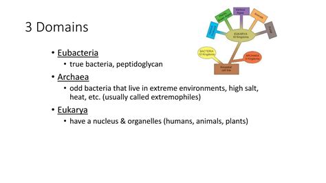 Classification Of Microorganisms Microbiology Ppt