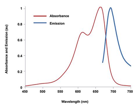 Fluorescence Polarization Approach Allows Quantitative Cancer Diagnosis Features Jul Aug