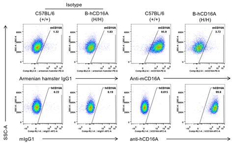 Human Cd16a Mice Gene Humanized Models Biocytogen