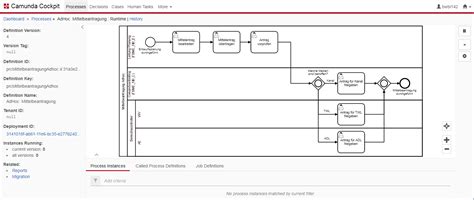 Camunda Workflow