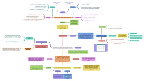Médula Espinal Descripción Y Funciones Coggle Diagram