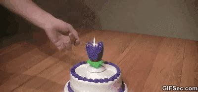 Animated  Name Edit Birthday Cake  With Name Várias Estruturas