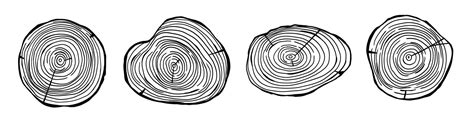 Tree Rings Texture In Hand Drawn Doodle Style Vector Art At Vecteezy