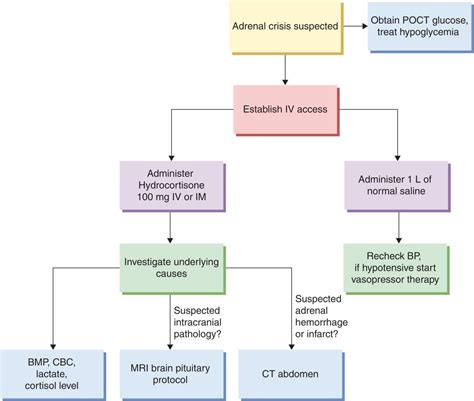 Hypotension In A Patient With Adrenal Insufficiency Anesthesia Key