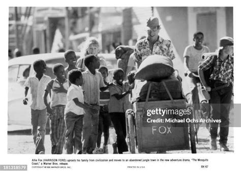 73 Allie Fox Photos And High Res Pictures Getty Images