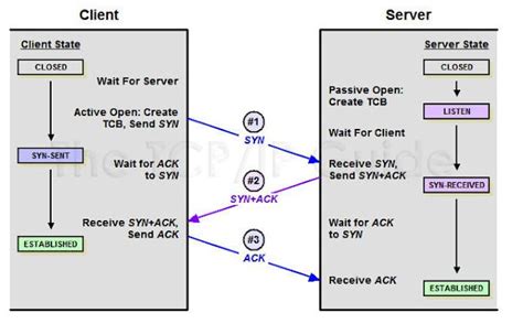 Client Server ~ Networking