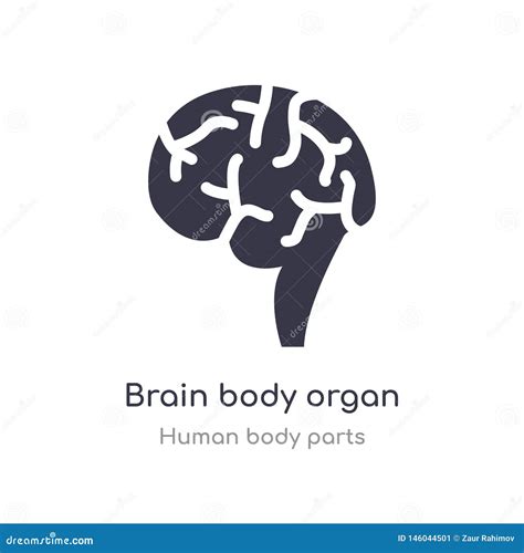 Brain Body Organ Outline Icon Isolated Line Vector Illustration From Human Body Parts