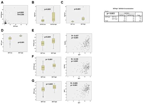 Correlation Analysis Of The Set And Gata2 Runx1 And Myc Expression In Download Scientific