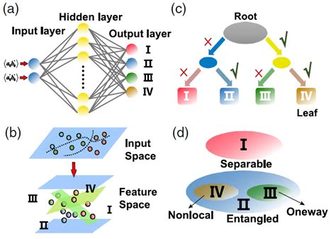 Researchers Achieve Simultaneous Classification Of Multiple
