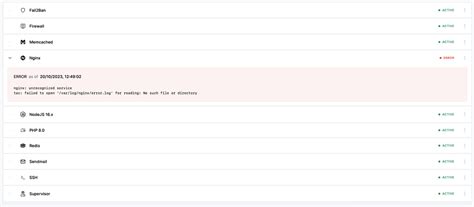 newly installed server has nginx issue server provisioning and