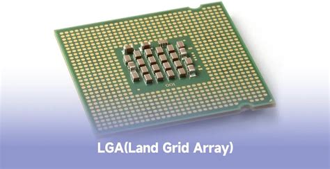 LGA Vs PGA What S The Difference IBE Electronics