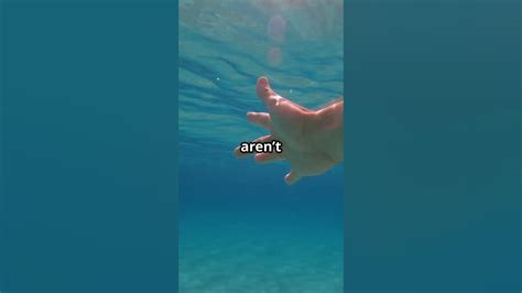 Why Do Your Fingers Get Pruney Youtube