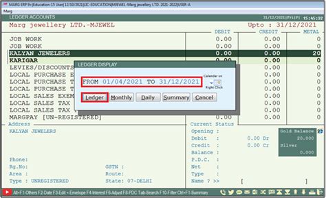How To View Selected Ledger Transaction With Metal Detail In Jewellery