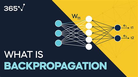 What Is Backpropagation YouTube