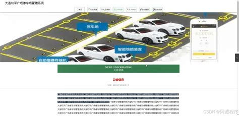 Java计算机毕业设计大连和平广场停车场管理系统（开题程序论文） Csdn博客