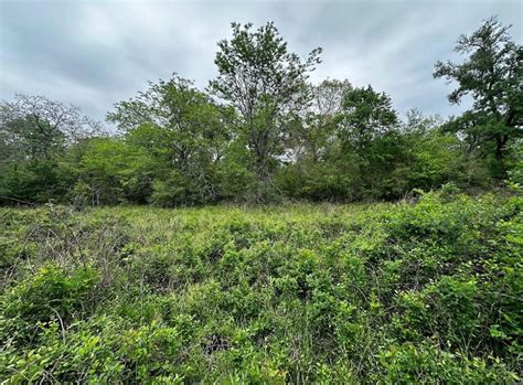 County Road 740 Sweeny Tx 77480 Mls 93025466 Trulia