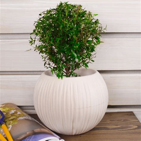 Кашпо Сфера 1 7л пудровый купить в Пензе цена 580 руб Зелёный дом