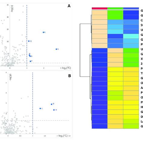 A Volcano Plot Comparing Metabolite Signals In Healthy Subjects