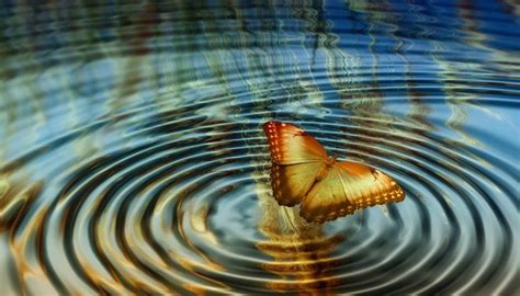 Apa Itu Butterfly Effect, dan Bagaimana Contohnya? | Belajar Sampai Mati