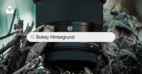 Bilder Zum Thema Bokey Hintergrund Kostenlose Bilder Auf Unsplash