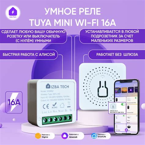 Умное реле контроллер для умного дома с Яндекс Алисой 16А Tuya Wi Fi Mini купить на Ozon по