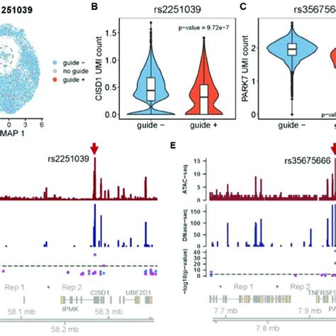 Identification Of Causal Variants By Expression Crop Seq A Nonlinear Download Scientific