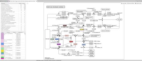 How To Retrieve Kegg Pathways Biobam Omicsbox How To Retrieve Kegg Pathways Biobam Omicsbox