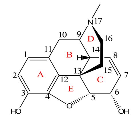 【科研干货】认识分子动力学 知乎