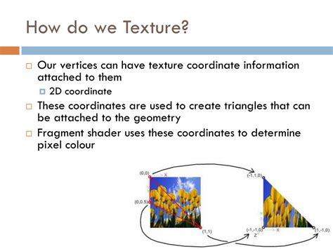 PPT Texturing PowerPoint Presentation Free Download ID 2129898