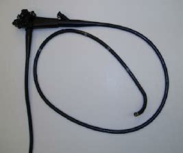 SCHEMATIC OF COMMON LOOPS FORMED IN THE COLON DURING A COLONOSCOPY Download Scientific Diagram