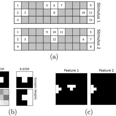 Temporal Discrimination Task A Two Input Stimuli Including A Download Scientific Diagram