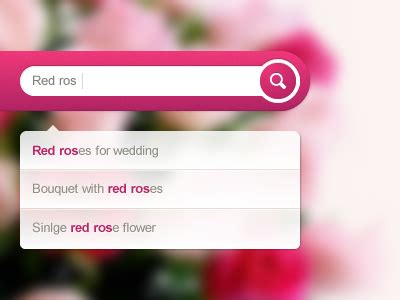 Beautiful Functional Search Box Designs Freebies Included Inspirationfeed