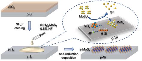 Schematic Of The In Situ Assembly Of Mosx On P‐si Through Download Scientific Diagram