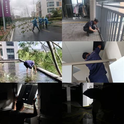 后勤管理处做好台风后校园修缮工作 无锡学院后勤管理处、基建处