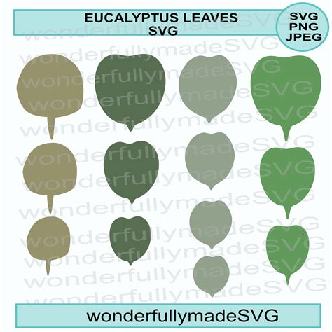 Eucalyptus Leaf Svg Eucalyptus Template Eucalyptus Leaf Svg