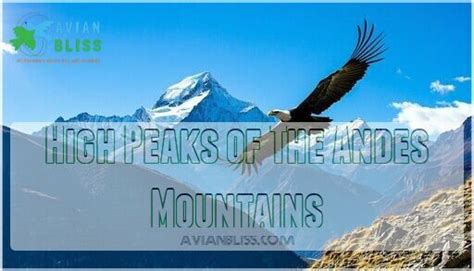 Facts About The Andean Condor 15 Amazing Secrets Of This Giant Bird
