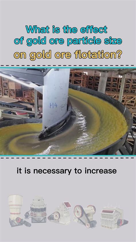 Key Factor In Gold Ore Flotation Purification