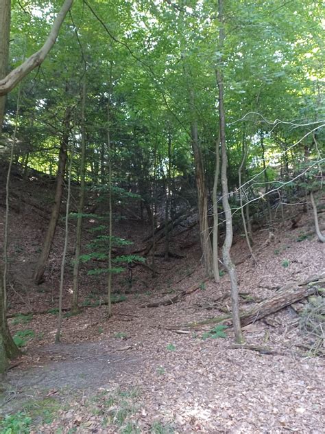 20221005144056 Thomas Van Bemmelen Flickr