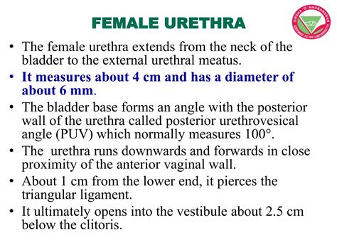 Anatomy And Physiology Of Female Reproductive System Pptx