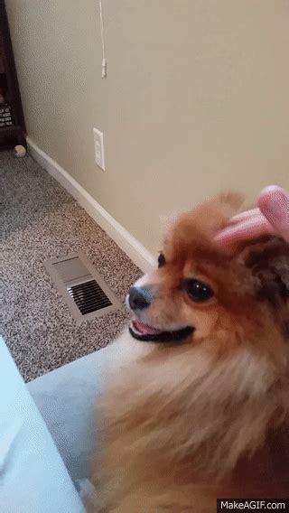 Head Scratch On Make A 