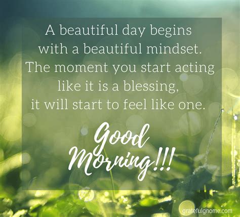 An Incredible Collection Of Over 999 Good Morning Inspirational Images